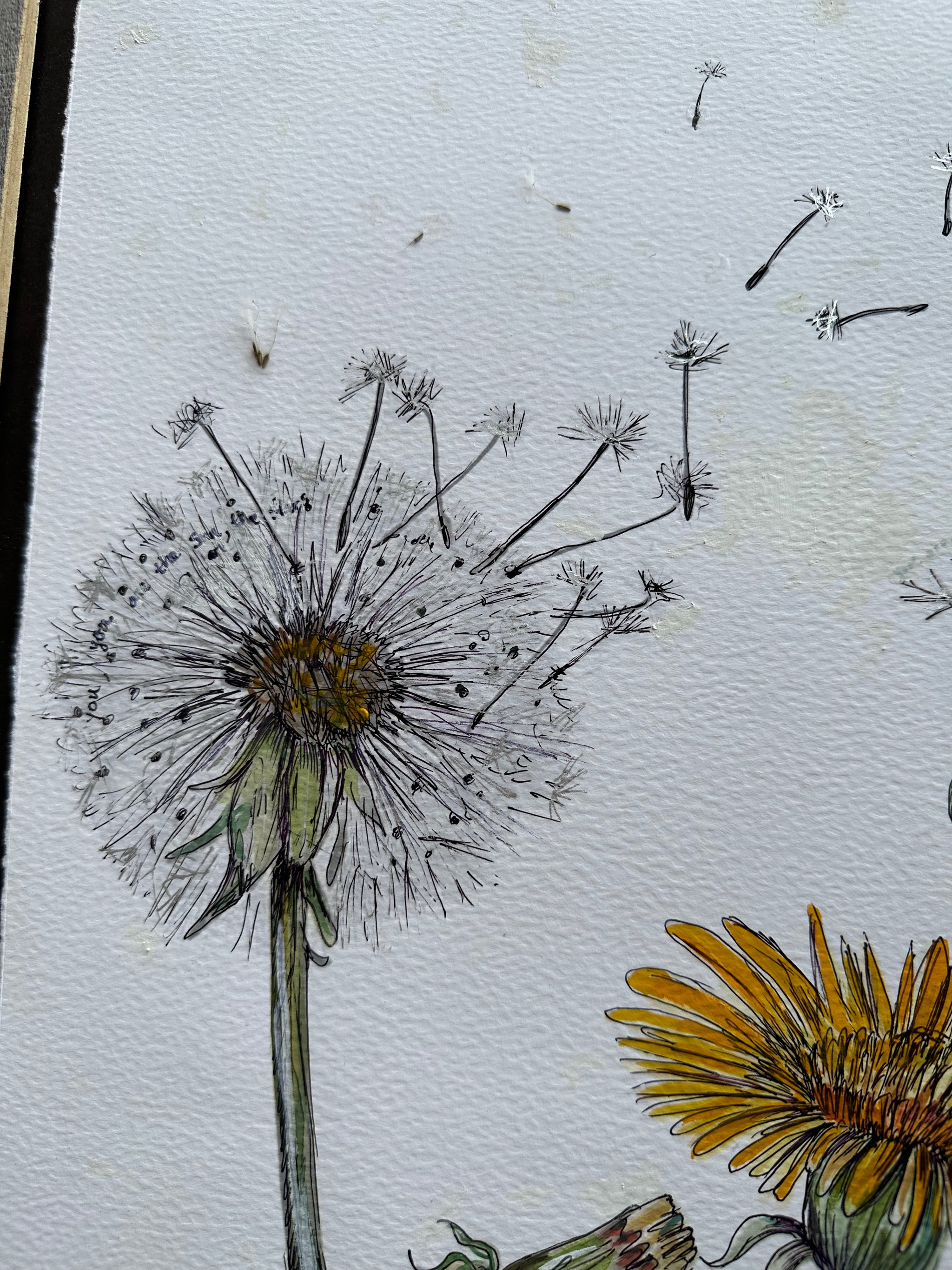 Candice Alexander Art Studio