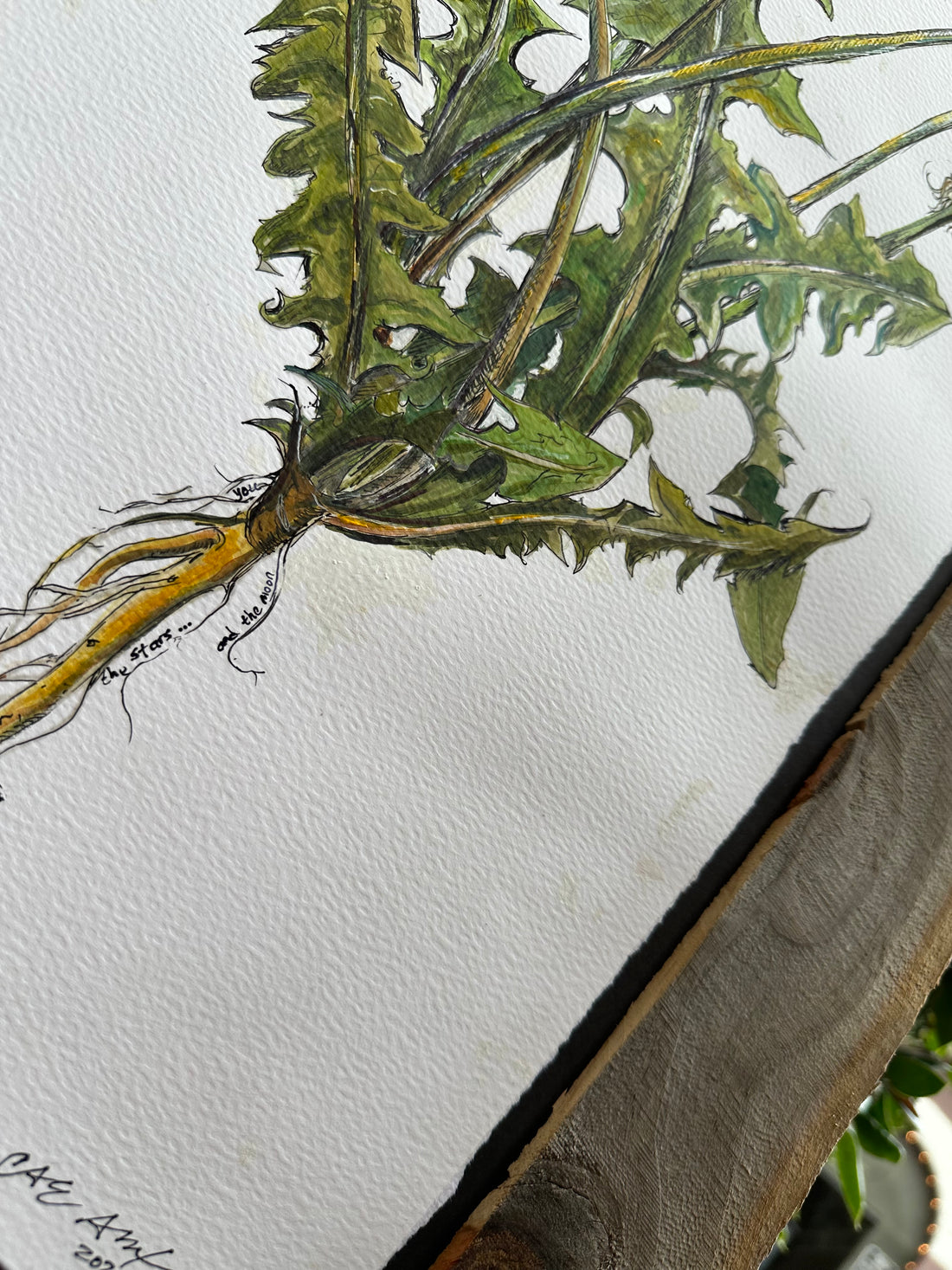 Candice Alexander Art Studio
