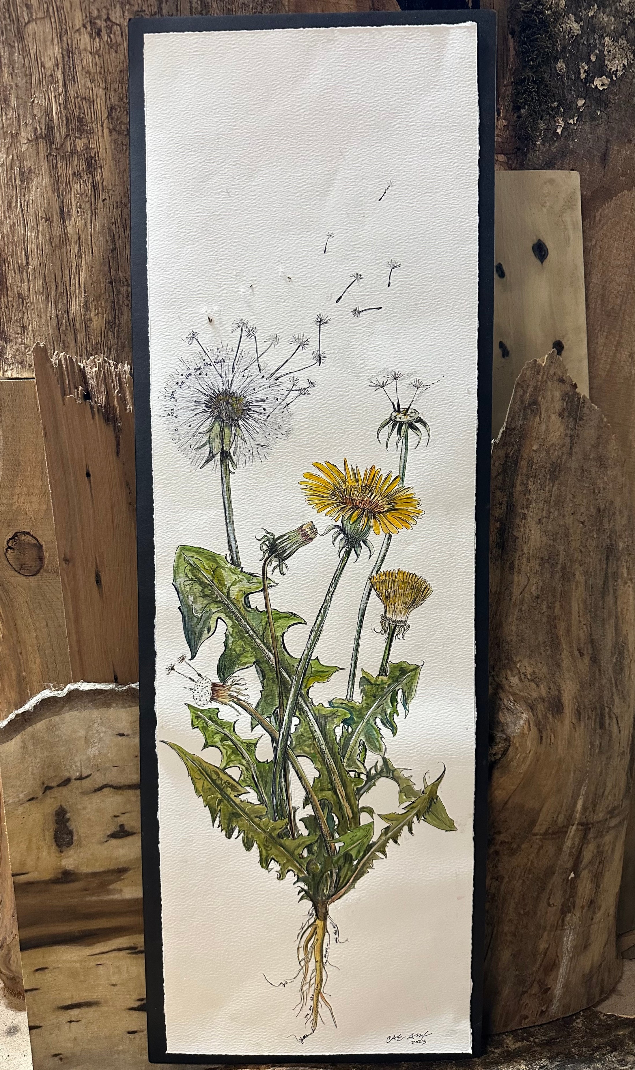 Candice Alexander Art Studio