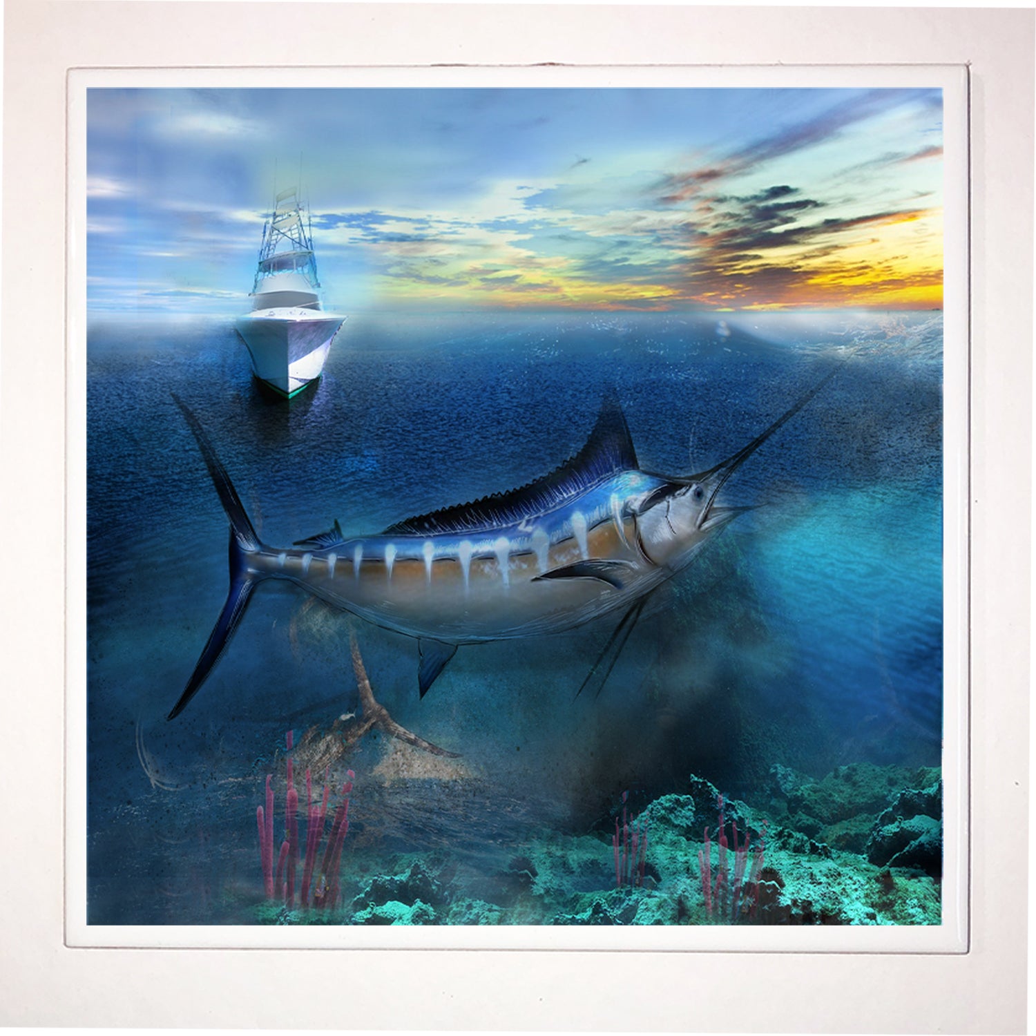 Blue Marlin Fish Drawing Poissons De Marlin Bleu Stock Illustrations,