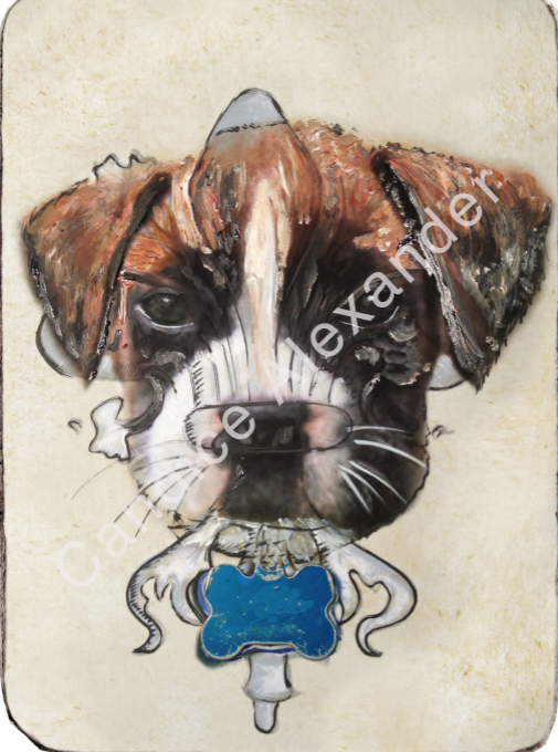 Boxer – Candice Alexander Art Studio