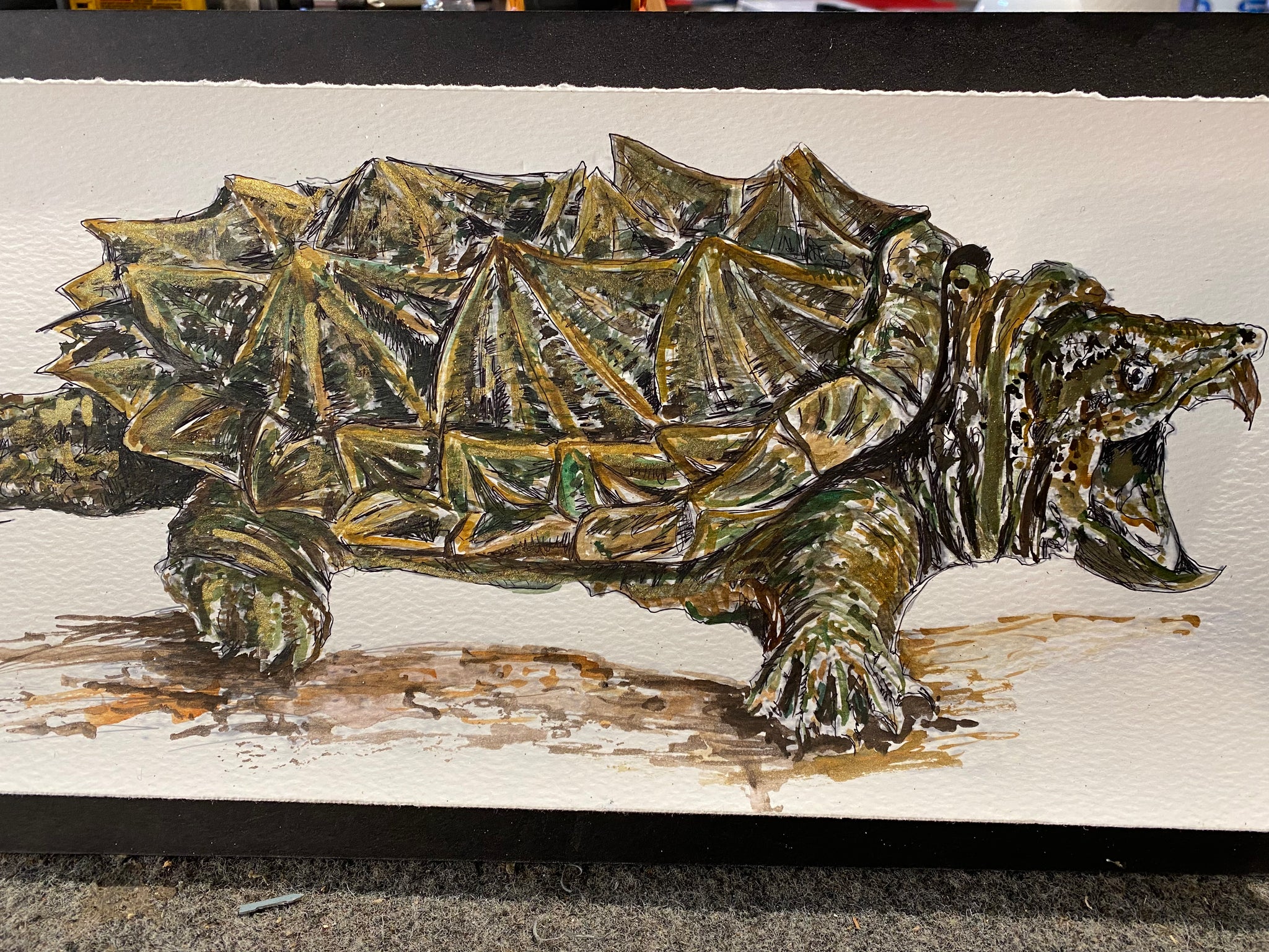 Alligator Snapping Turtle – Candice Alexander Art Studio