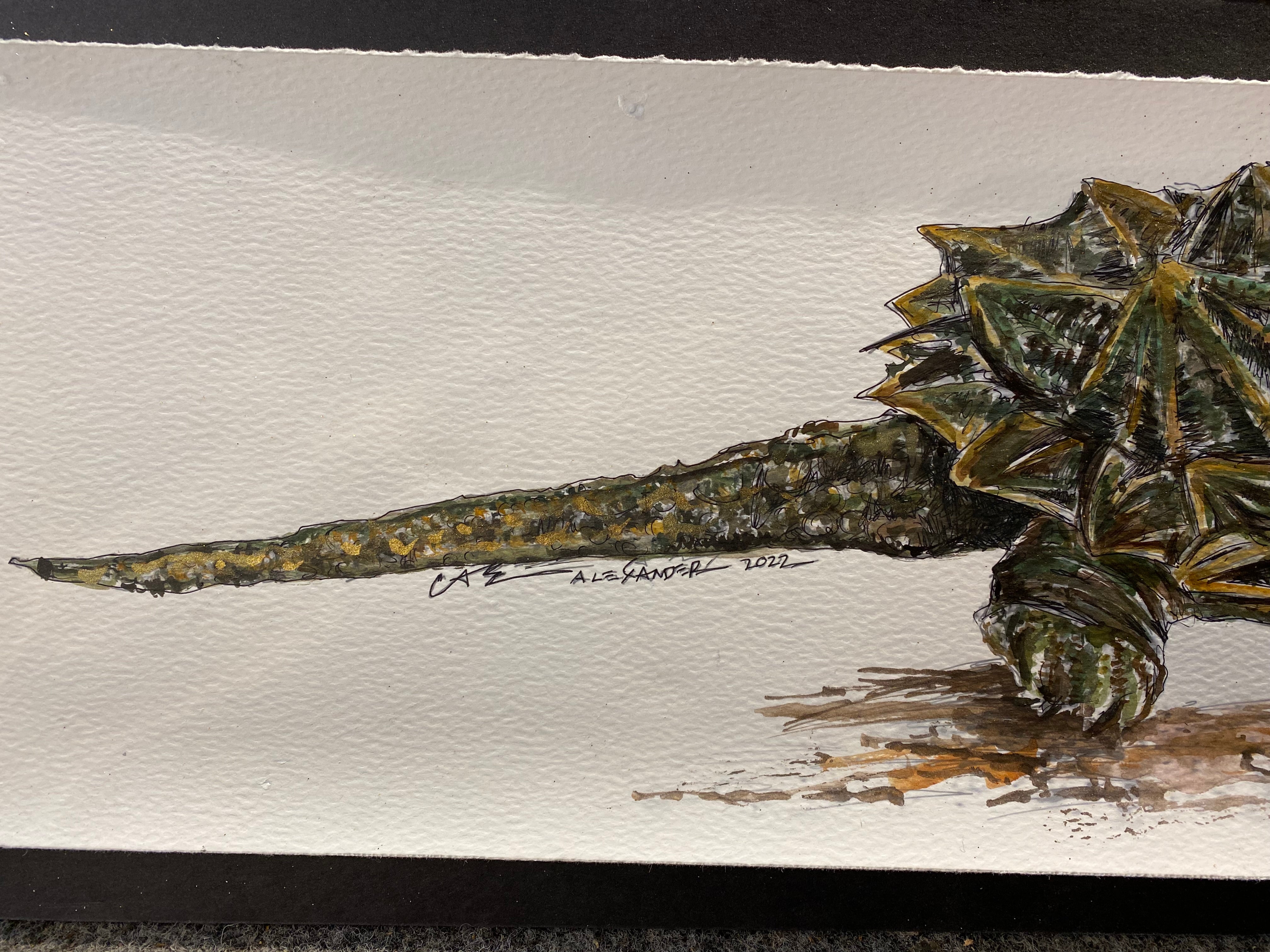 Alligator Snapping Turtle – Candice Alexander Art Studio