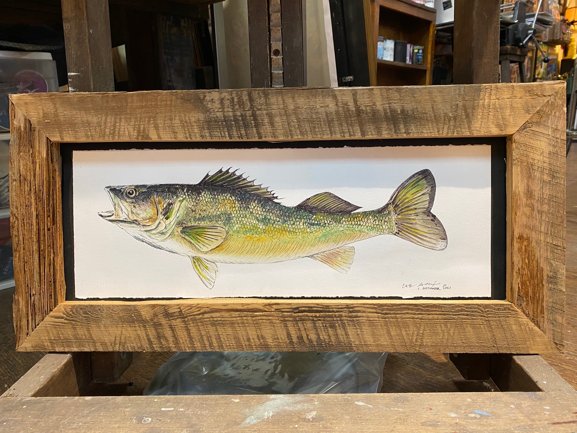 Michigan Walleye – Candice Alexander Art Studio