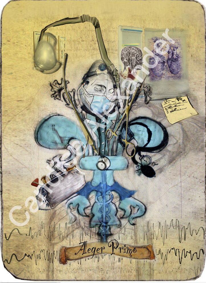 Aeger Primo Surgical Technologist – Candice Alexander Art Studio